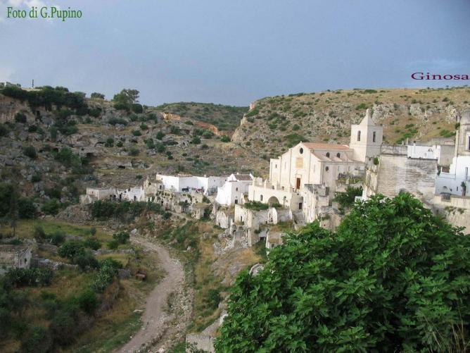 Cultura e Tradizioni | Il Falco Grillaio